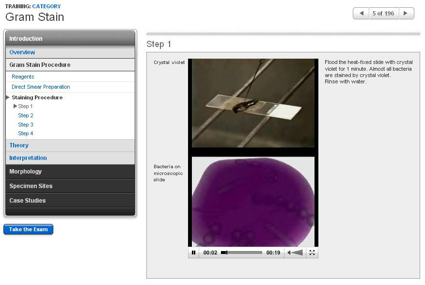 Gram Stain Tutor Sample Screens