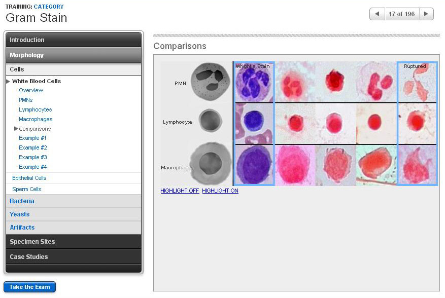 Gram Stain Tutor Sample Screens