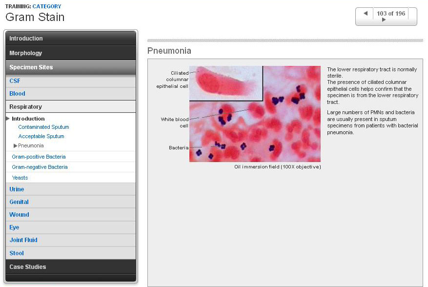 Gram Stain Tutor Sample Screens